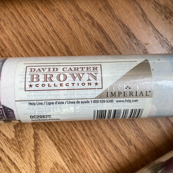 david carter brown | Wall Decor | 4 David Carter Brown Collection Wallpaper Border Dc282b ...